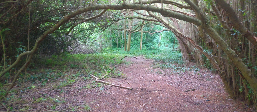Donderberg : Exposition Photo - Laeken.Brussels